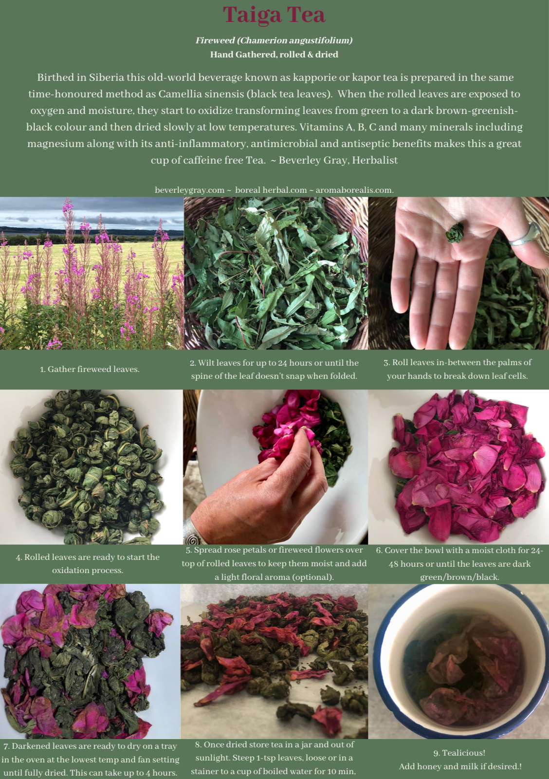 Taiga Tea – Beverley Gray